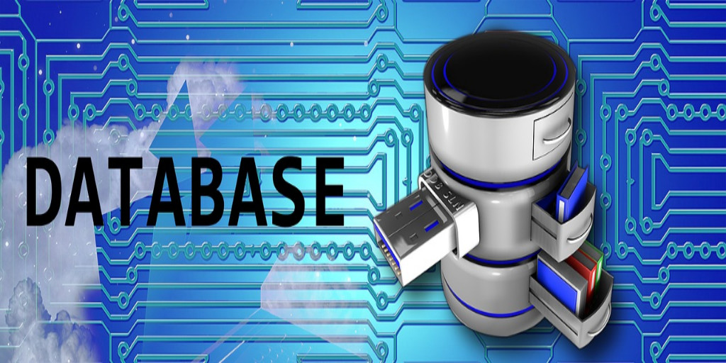 Corporate-Level Databases – TGDaily