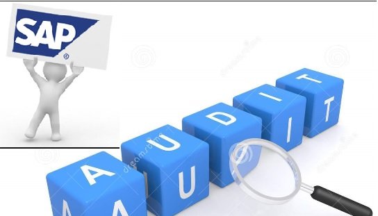 What are the Challenges When Auditing SAP? – TGDaily
