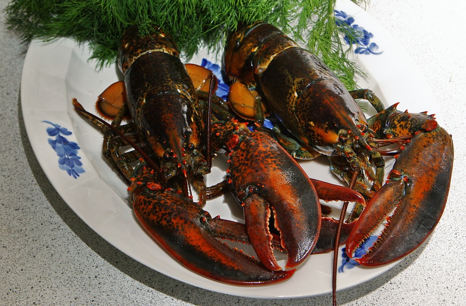 Three Ways You Can Warm Up Your Winter With Lobster – TGDaily